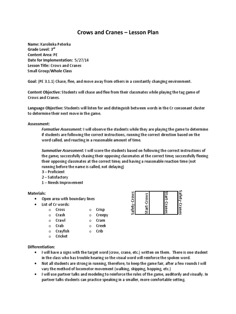 Crows and Cranes - Lesson Plan | PDF | Lesson Plan | Learning