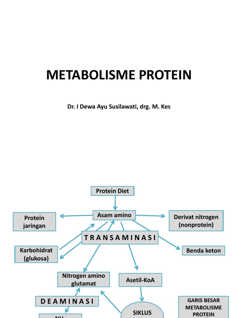 Metabolisme Protein [Autosaved] | Amino Acid | Biosynthesis