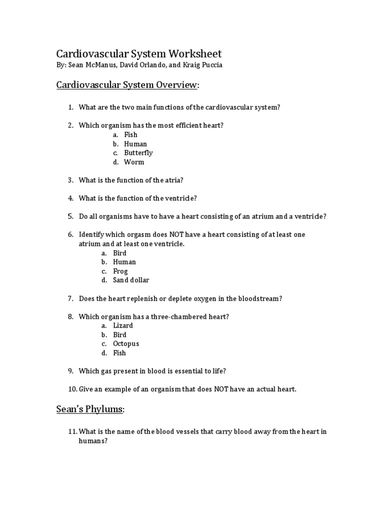 Cardiovascular System Worksheet | PDF | Circulatory System | Heart