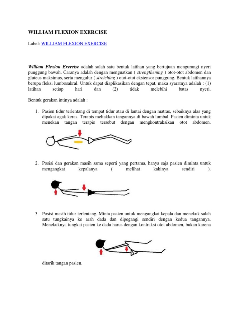 William Flexion Exercise | PDF