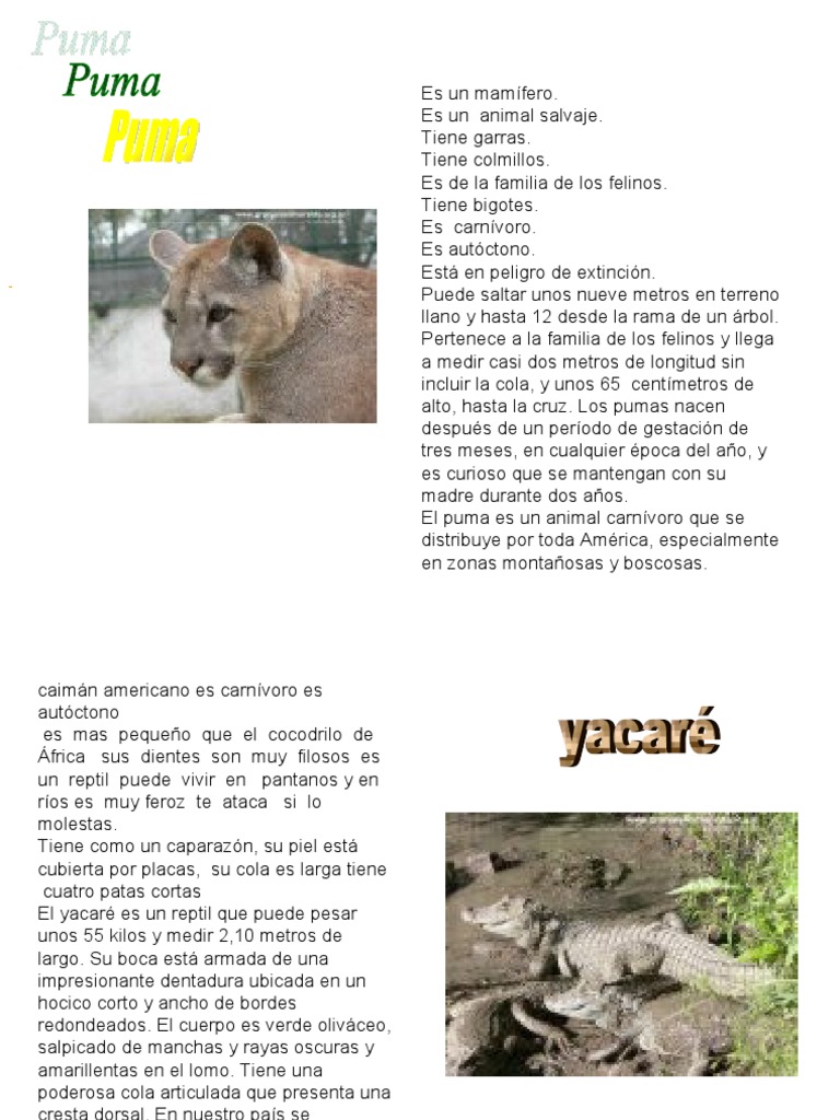 Animales Autóctonos | PDF | Naturaleza