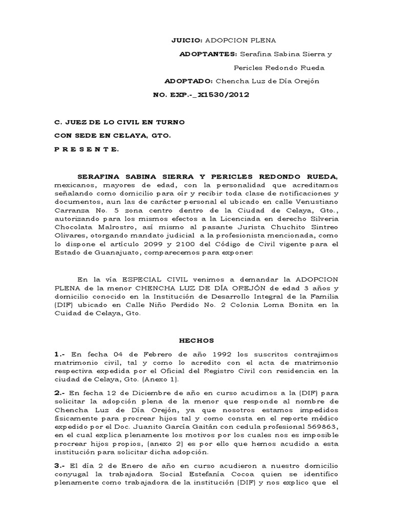 Demanda de Adopcion Plena | PDF | Adopción | Instituciones sociales