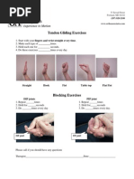 Modified Borg Dyspnea Scale Instructions | PDF