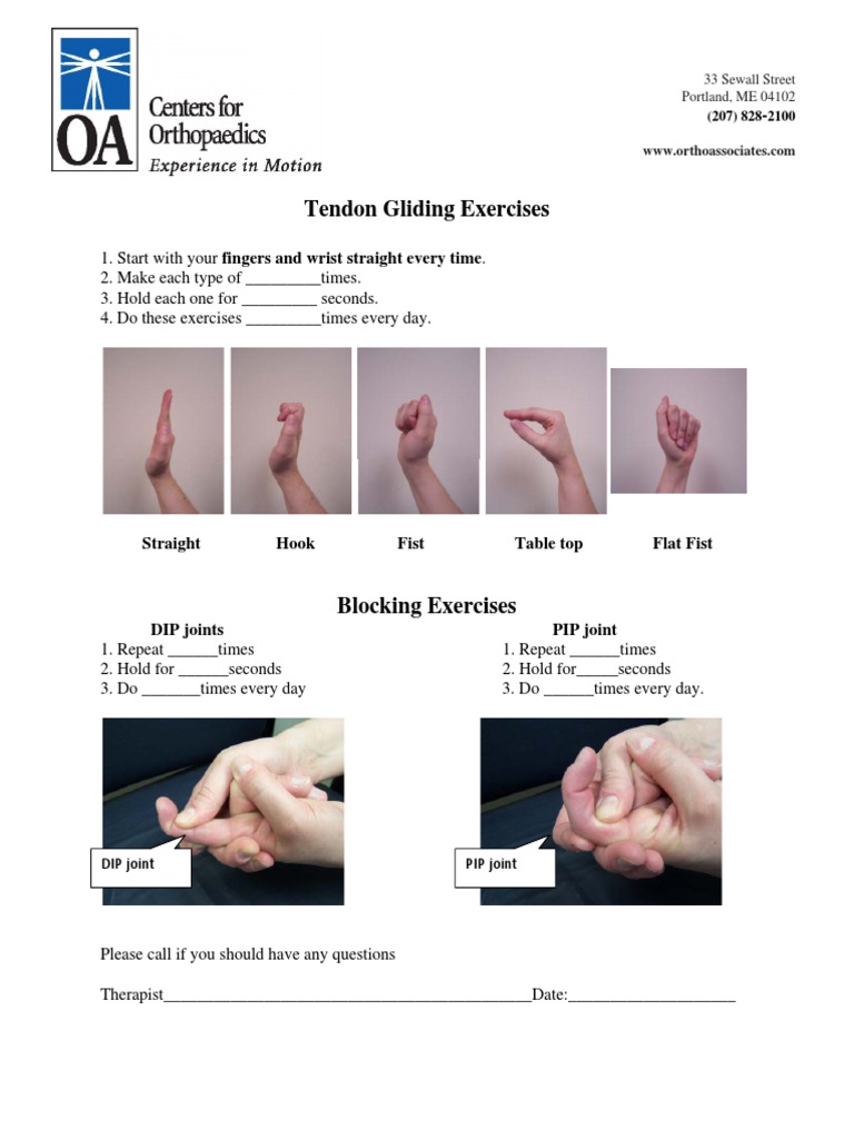 Tendon Gliding Exercises. | PDF | Wellness