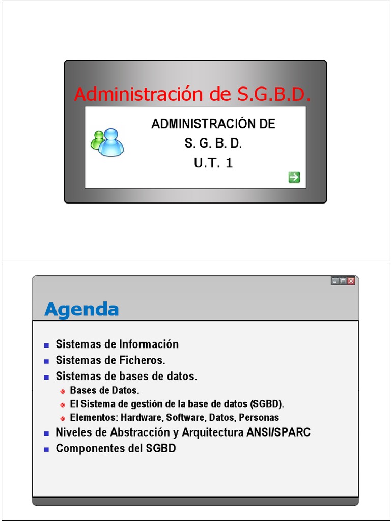 Tema 1 - Instalacion y Configuracion de Un SGBD | PDF | Bases de datos | Archivo de computadora