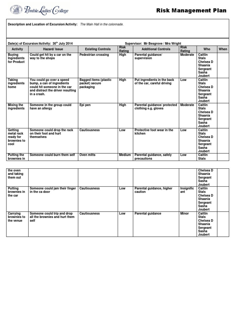 Risk Management Plan | PDF | Risk | Safety