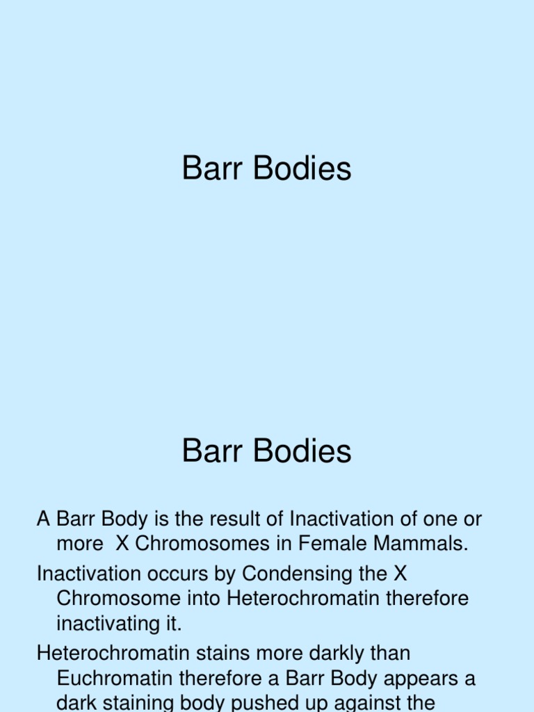 Understanding Barr Bodies in Females | PDF | Science & Mathematics