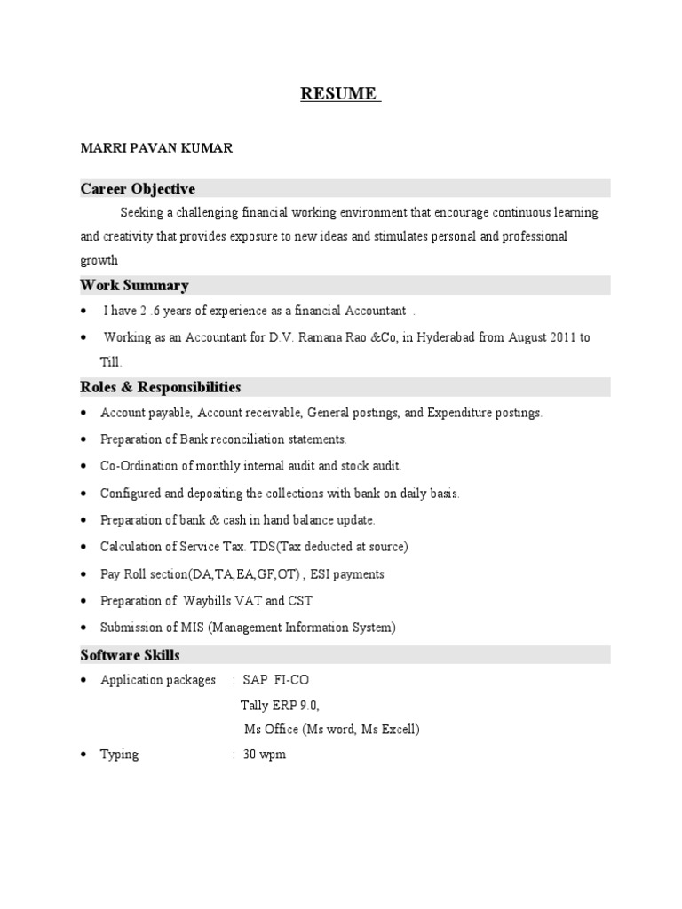 Financial Accountant Resume of Pavan Kumar | PDF