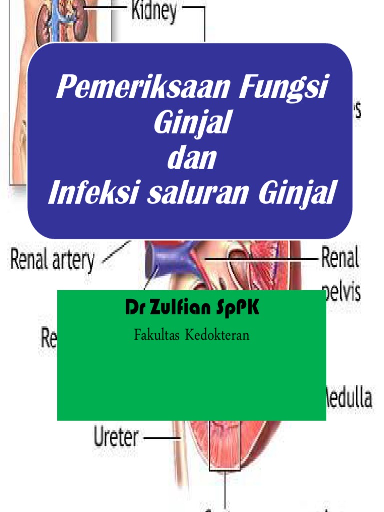 Fungsi Ginjal | PDF