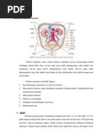 Pemahaman Tractus Urinaria dan Fisiologinya | PDF