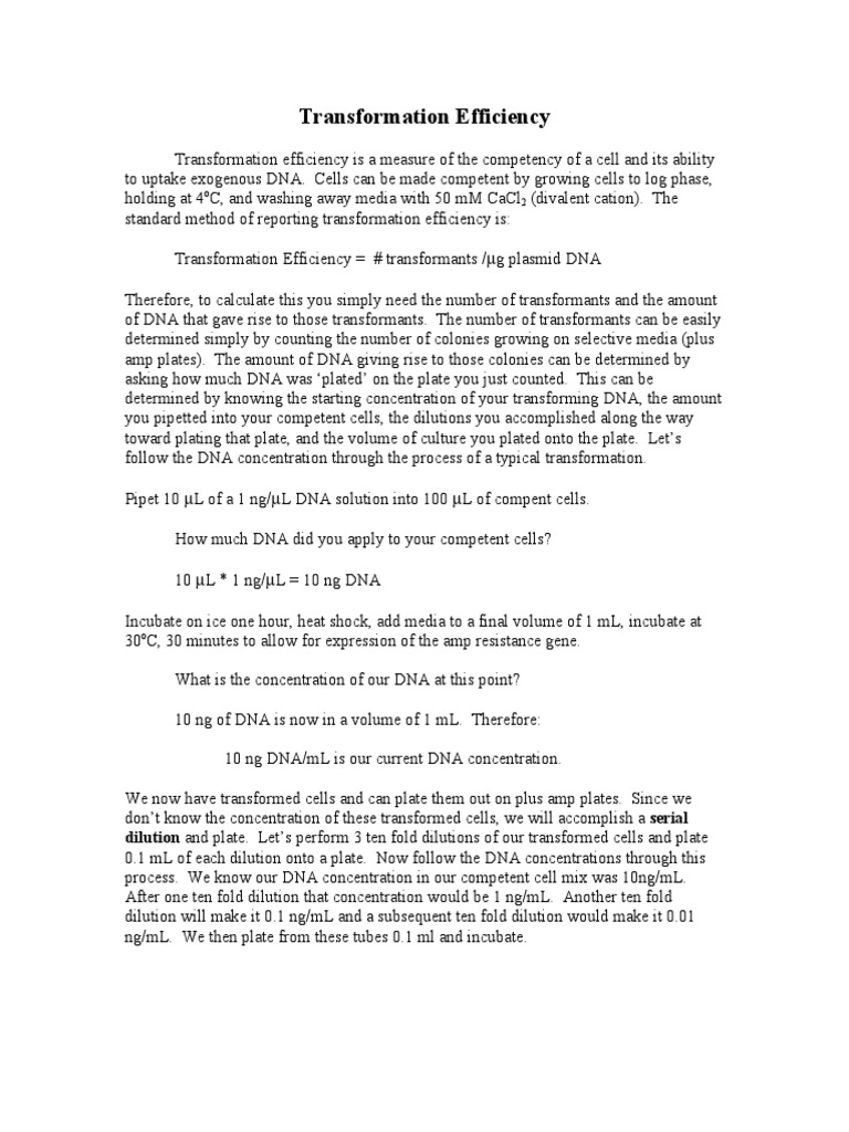 Transformation Efficiency Worksheet | Download Free PDF ...