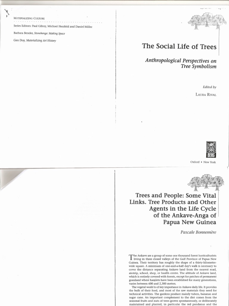 The Social Life of Trees: Anthropological Perspectives On Tree ...