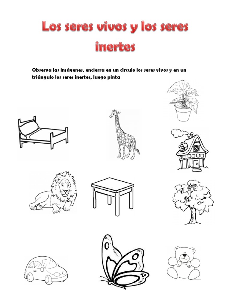 Seres Vivos y Objetos Inertes | PDF