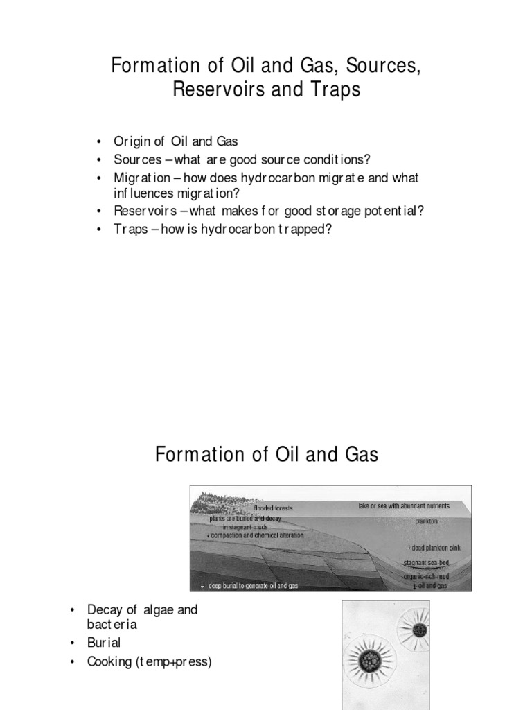 Formation, Migration, and Trapping of Hydrocarbons in the North Sea: A ...