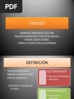 Clasificación de Fimosis Kayaba | PDF | Mamíferos machos | Pene