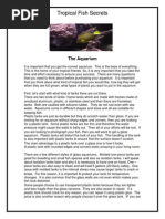 AqAdvisor - Intelligent Freshwater Tropical Fish Aquarium Stocking ...