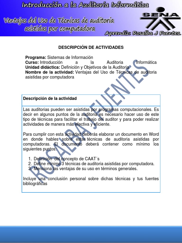 Caat | PDF | Sistema de informacion | Software