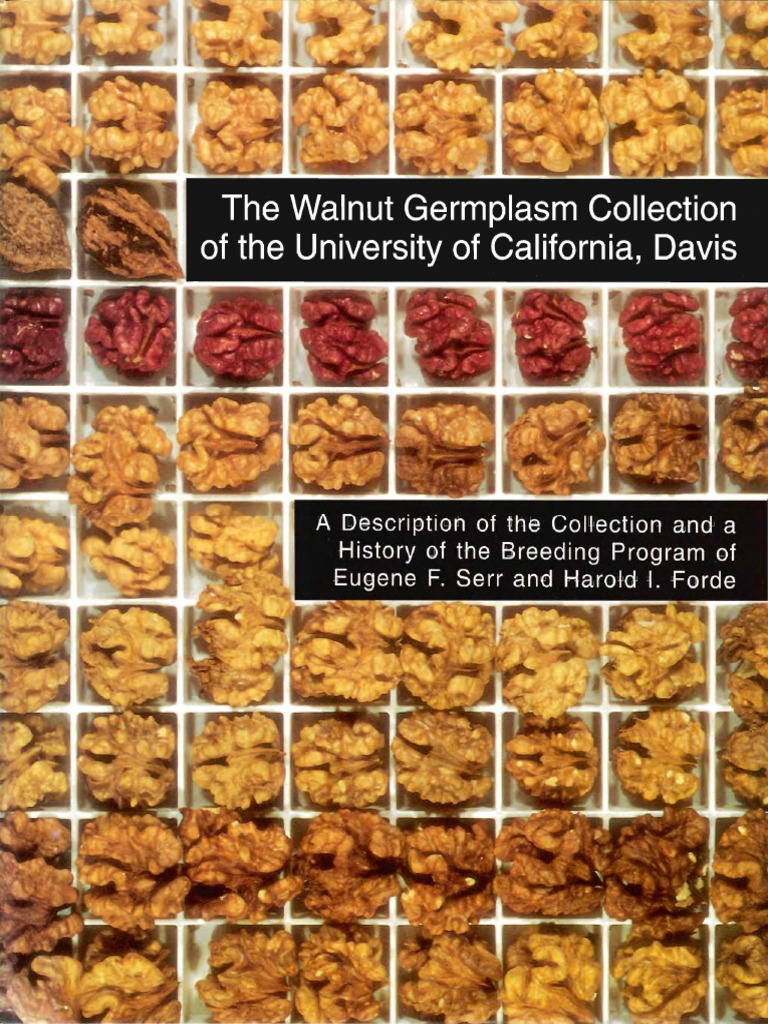 Usa Walnut Varieties 0 | Plant Breeding | Cultivar