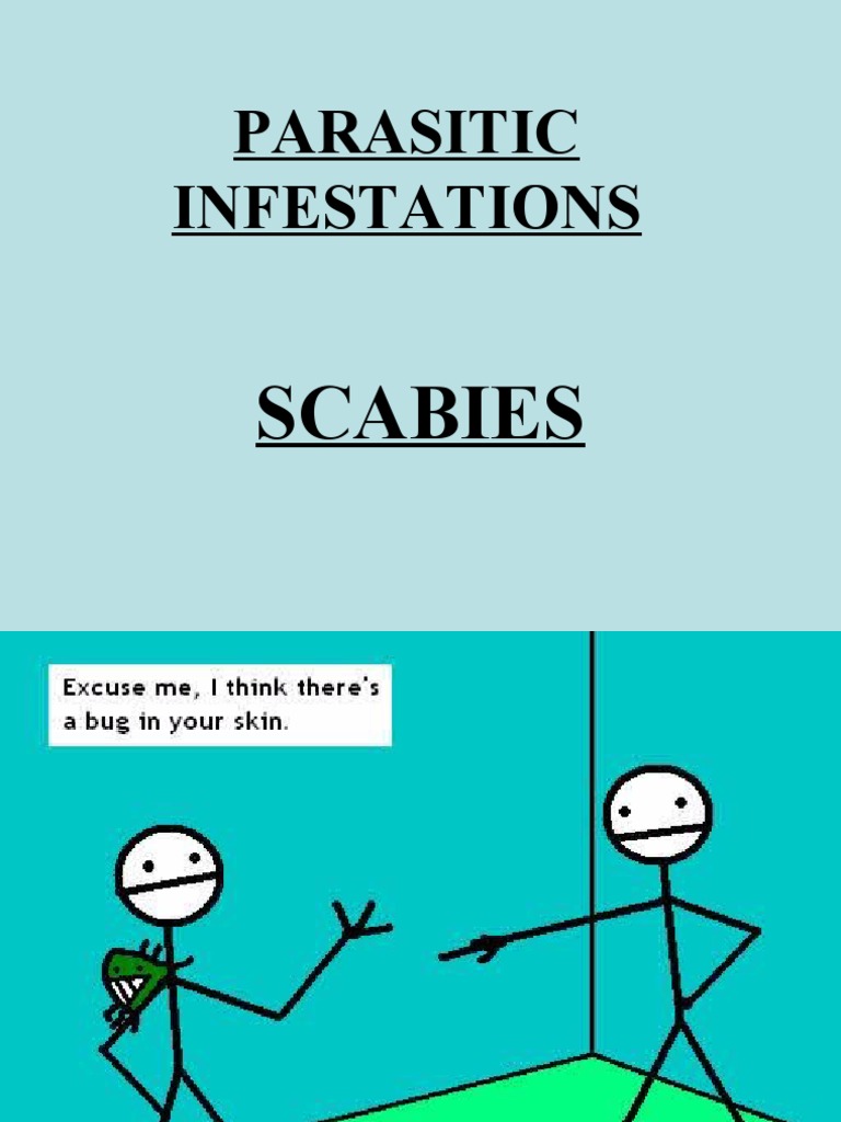 Circle of Hebra in Scabies | PDF | Science & Mathematics