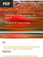 BTEC Sport Level 3 Revision Guide Muscular System | PDF