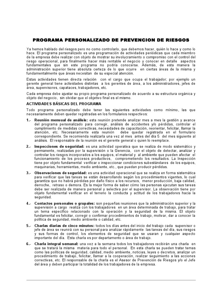 Programa Personalizado de Prevención de Riesgos | PDF | La seguridad | Calidad (comercial)