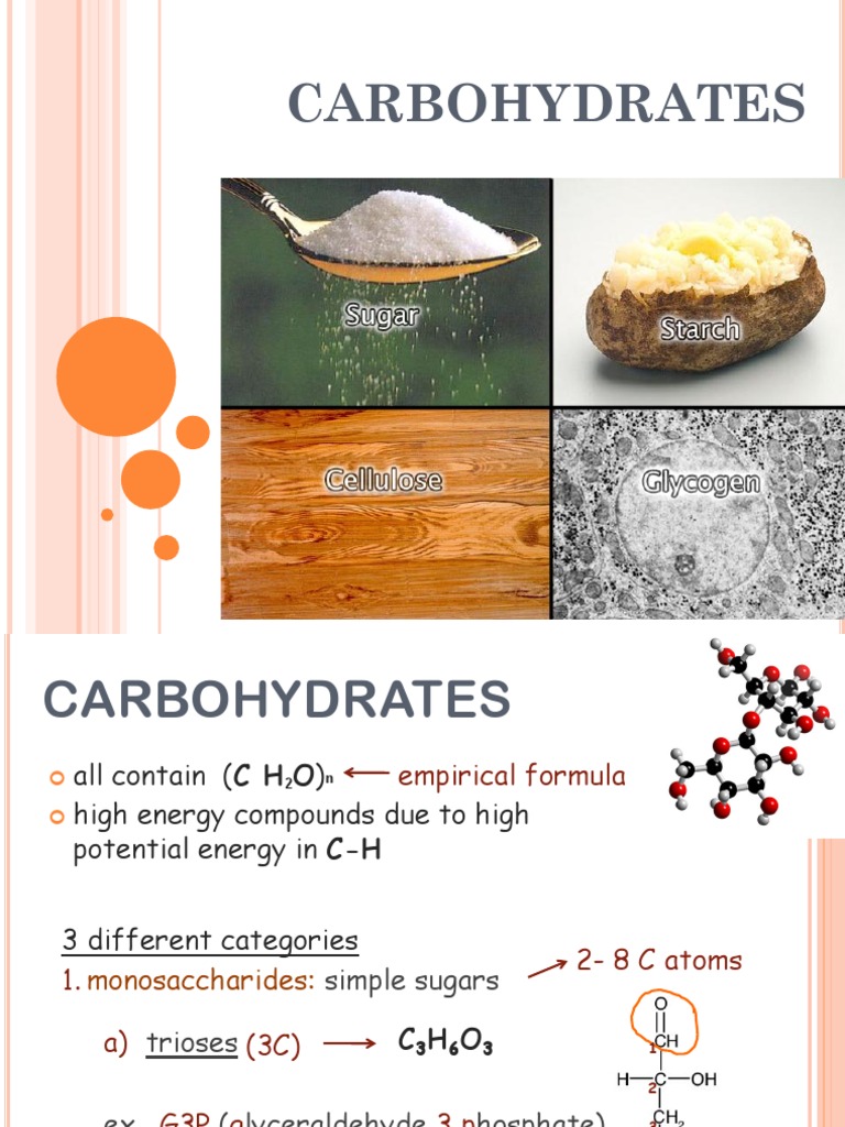 SBI4U Intro To Carbohydrates | PDF