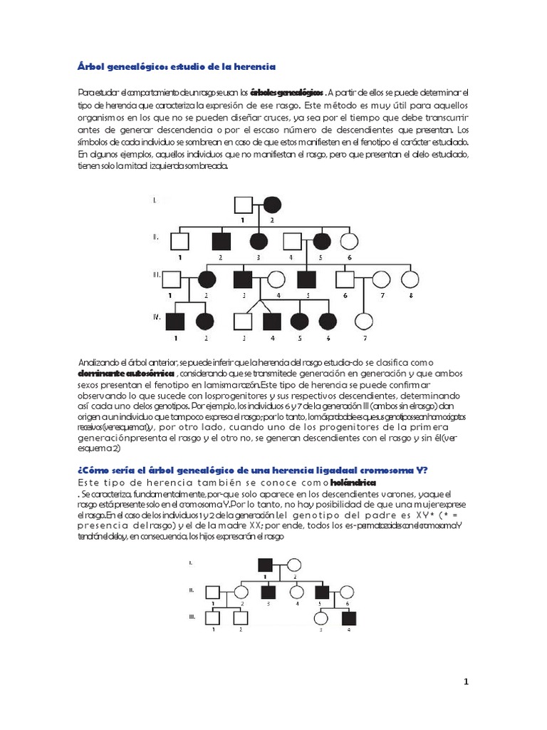 Árbol Genealógico | PDF | Dominancia (Genética) | Ciencias de la vida