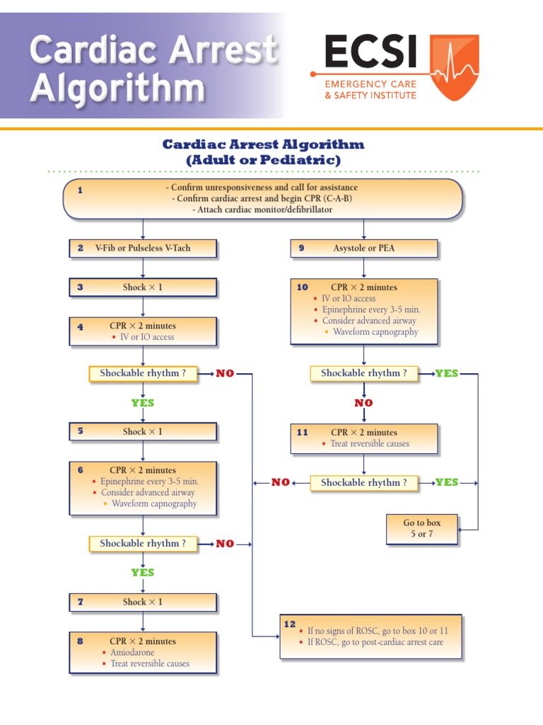 ECSI CAAlgorithm | PDF | Cardiopulmonary Resuscitation | Cardiac Arrest