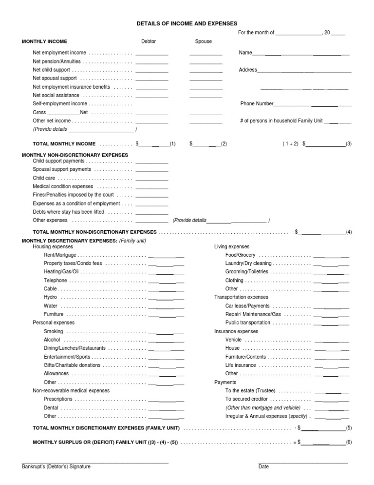 Income Form | PDF | Child Support | Income