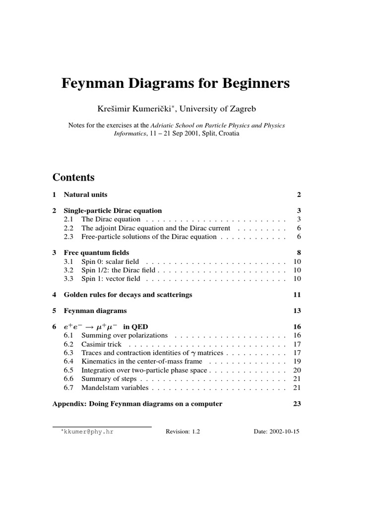 Feynman For Beginners | PDF | Wave Function | Quantum Electrodynamics