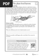 Lesson 6 - Leaves | PDF | Plants | Stoma