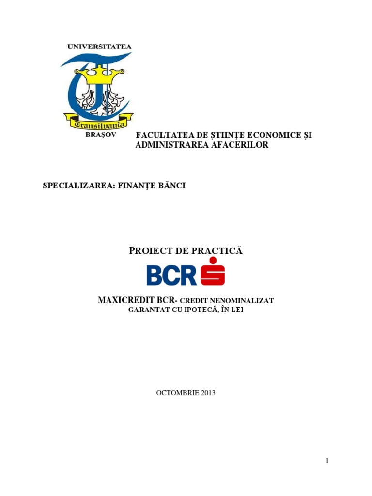 Proiect Practica | PDF