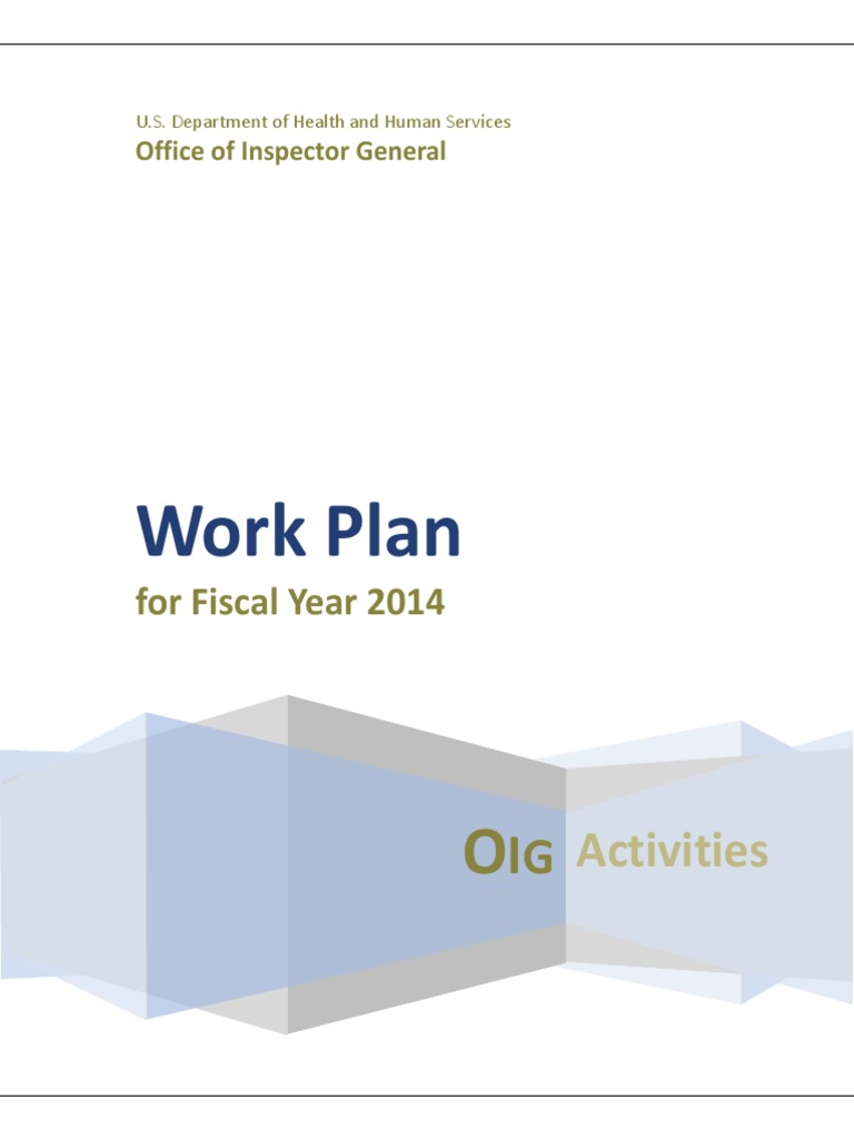 OIG Work Plan Overview FY 2014 | PDF
