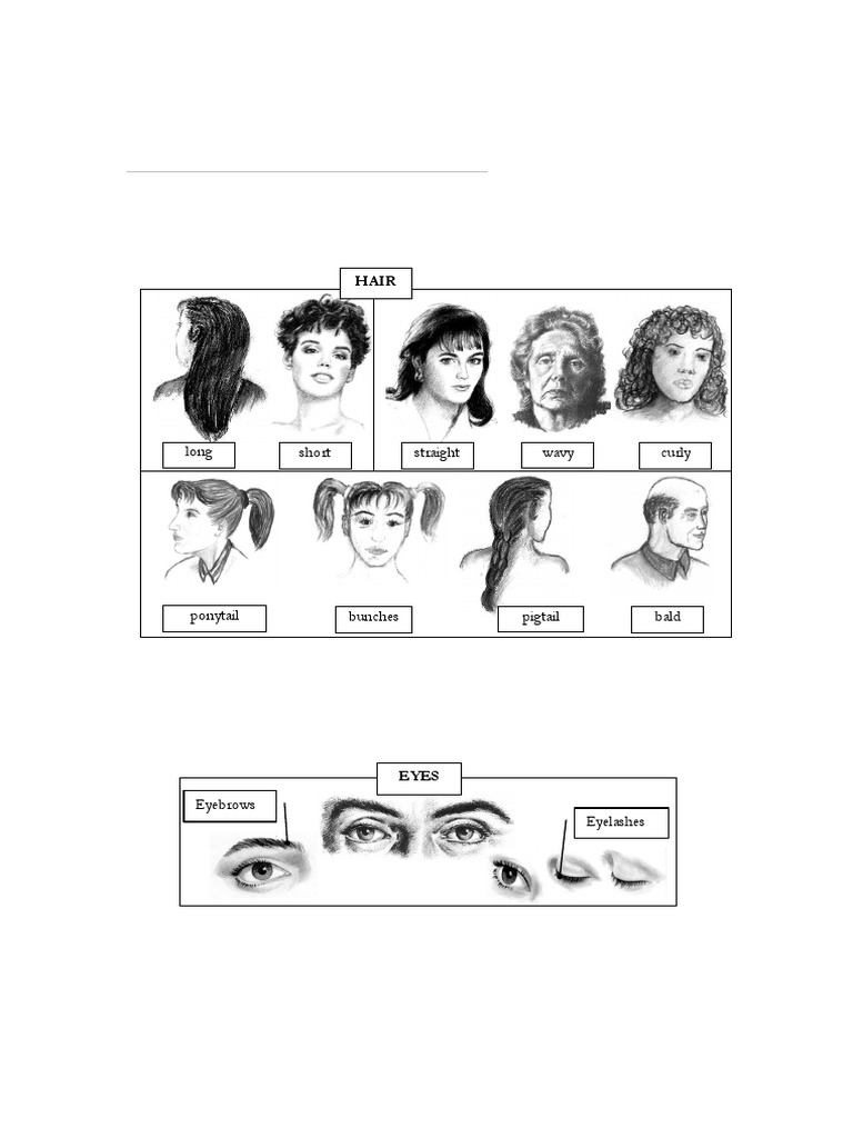 Describing People (Worksheet) | PDF | Hair | Human Body