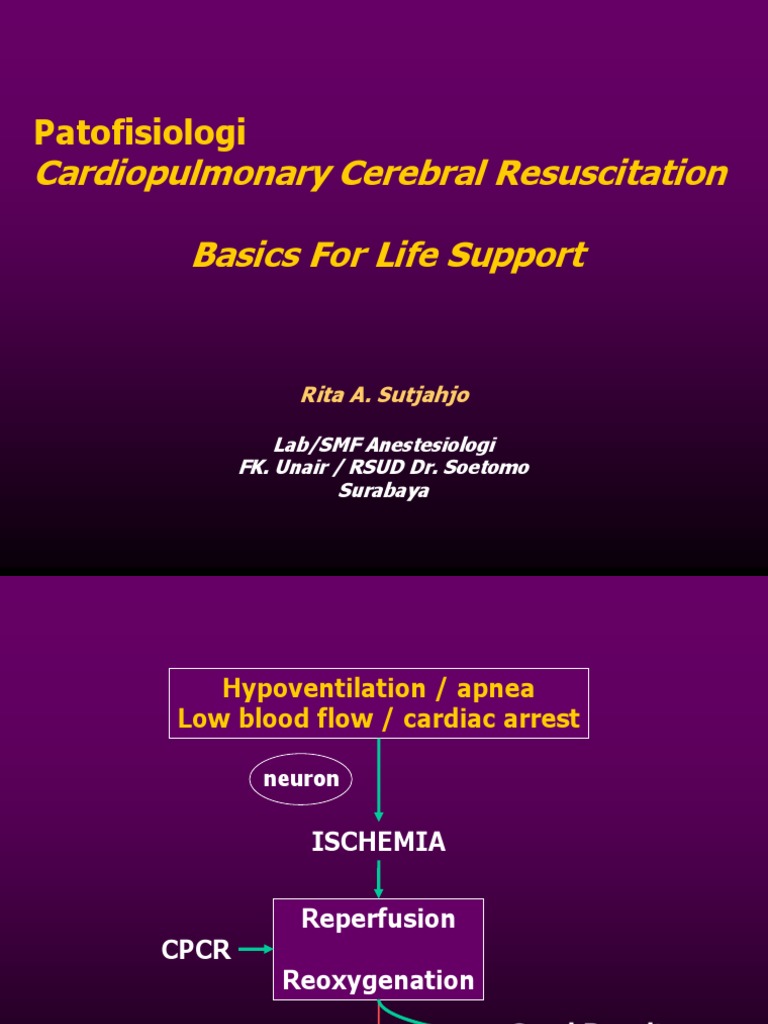 Understanding the Pathophysiological Mechanisms of Post-Resuscitation ...