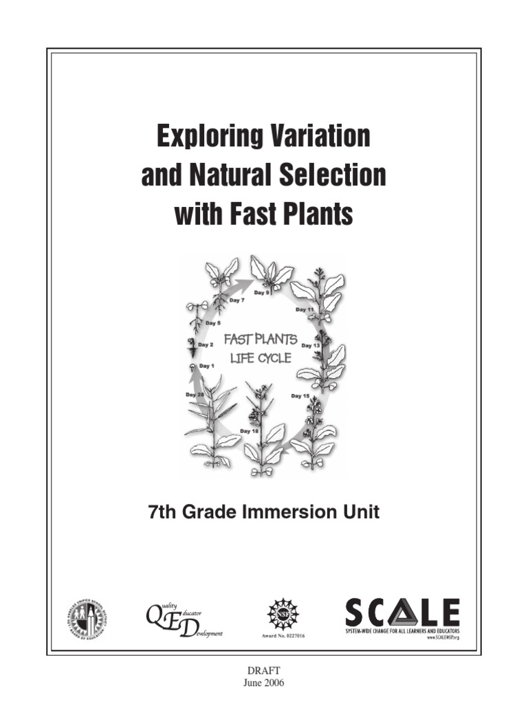 Variation SCALE | PDF | Scientific Method | Inquiry
