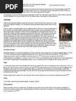 Sheep Scale How Are You Feeling Today - Google Search | PDF | Sheep ...