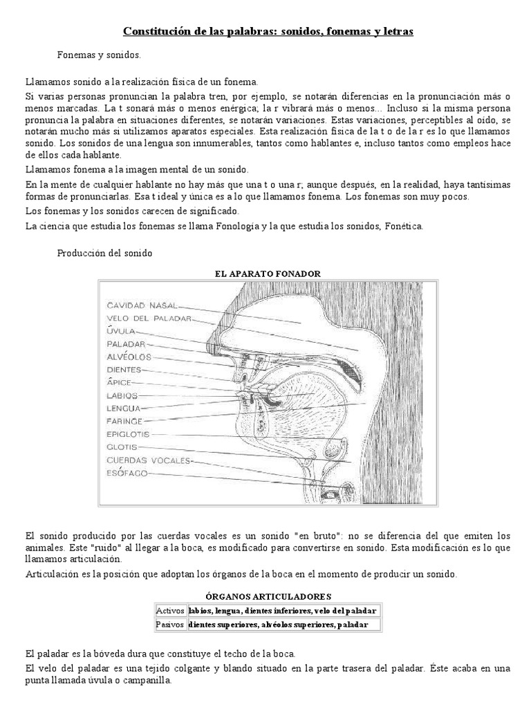 Fonemas y Sonidos del Español | PDF | Vocal | Palabra
