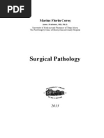 Clavien-Dindo Classification Overview | PDF | Therapy | Radiology