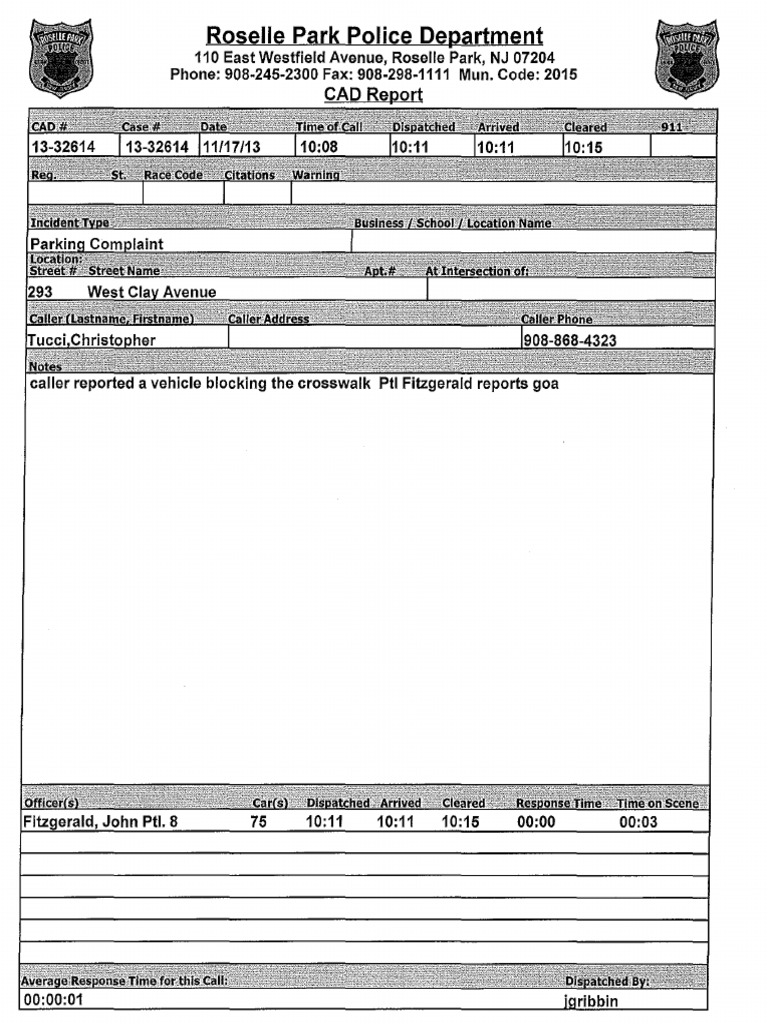 Roselle Park Police CAD Reports Summary | PDF