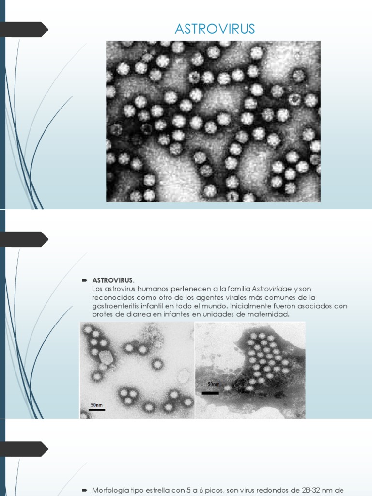 Astro Virus | PDF | Epidemiología | Inmunología