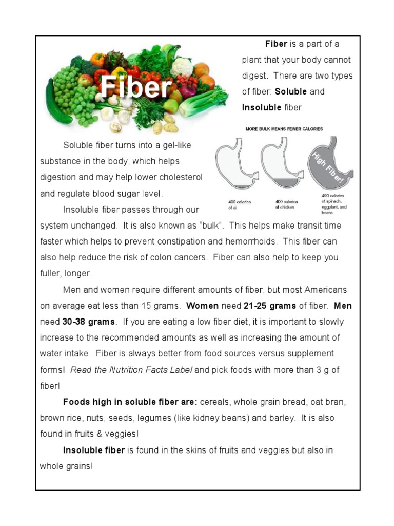 Fiber Handout | PDF