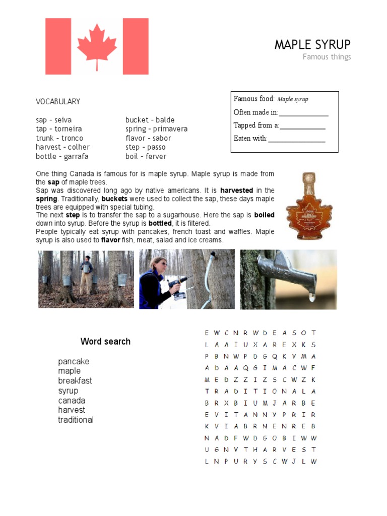 Maple Syrup: Word Search | PDF