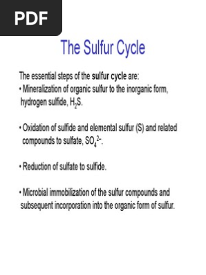 Sulfur Cycle Steps