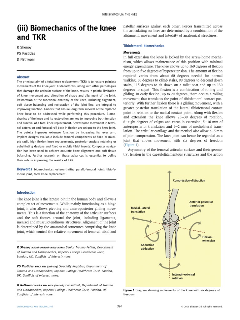 Biomechanics of The Knee | PDF | Knee | Joints