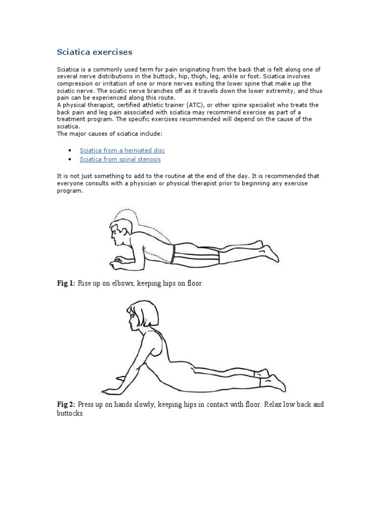 Sciatica Exercises | PDF | Musculoskeletal System | Human Anatomy