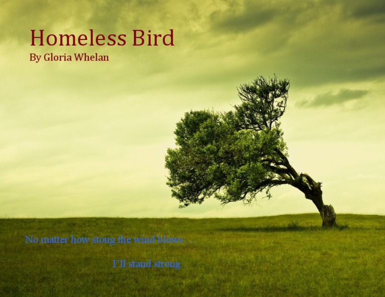 Homeless Bird | PDF
