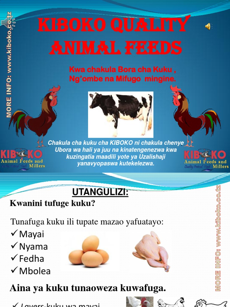 Chicken Management | PDF
