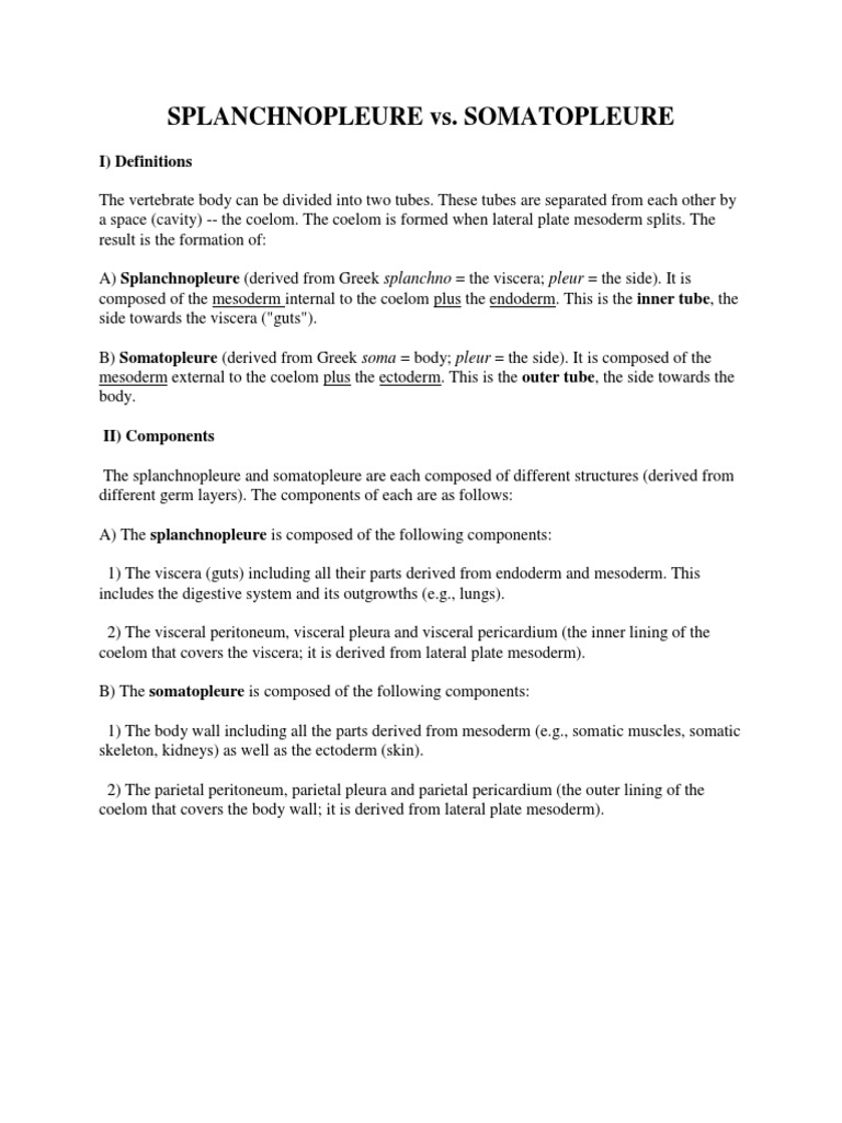 Splanchnopleure vs. Somatopleure: I) Definitions | PDF | Peritoneum ...