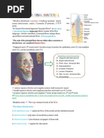 Respiratory System Mnemonics Guide | PDF